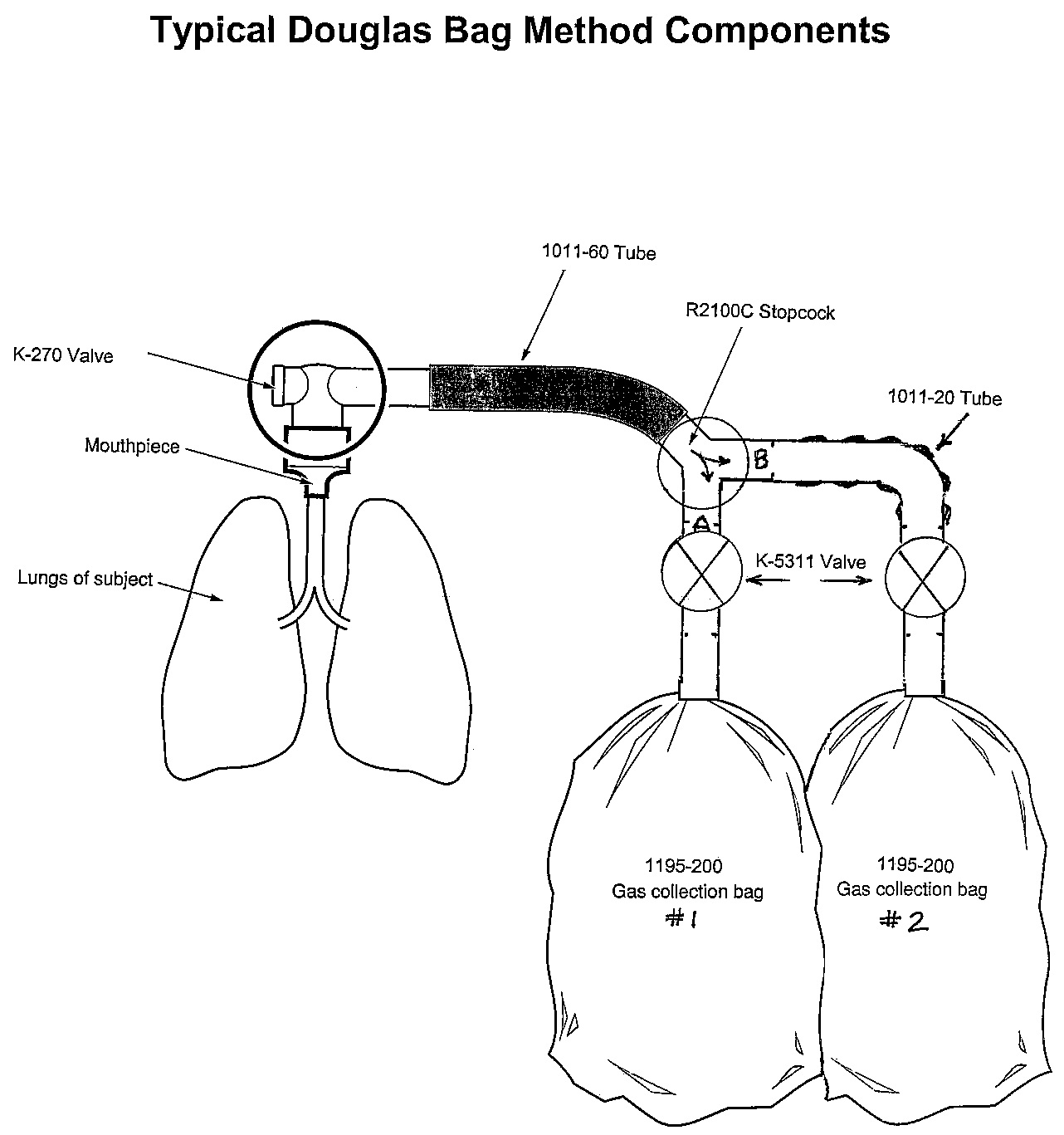 Εξαρτήματα για την μέθοδο DOUGLAS BAG – Sciencemarket